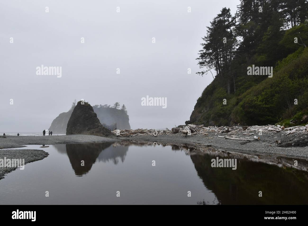 The coastal rock formations at Ruby Beach on a foggy day in Olympic ...