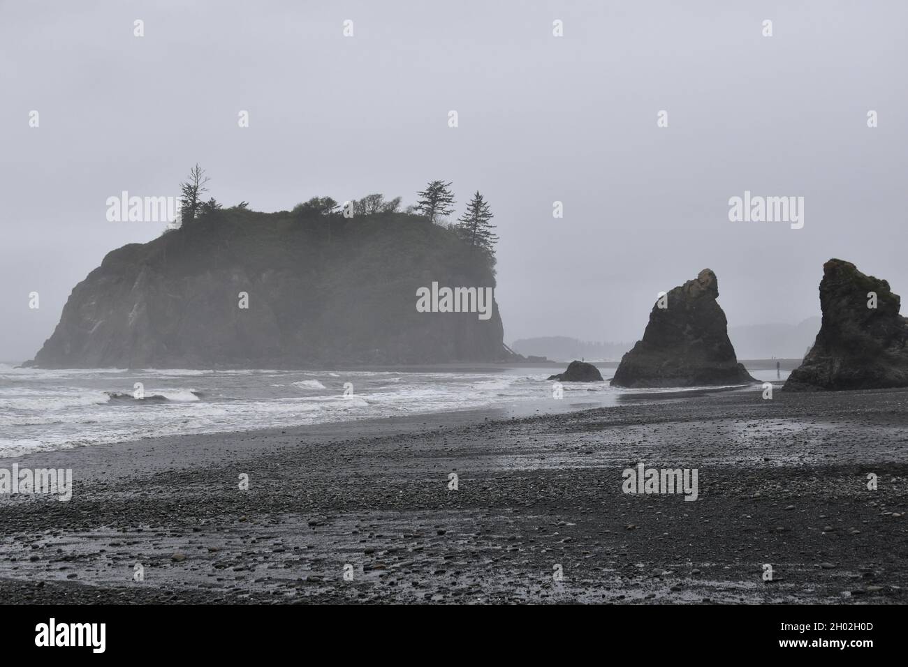 The coastal rock formations at Ruby Beach on a foggy day in Olympic ...