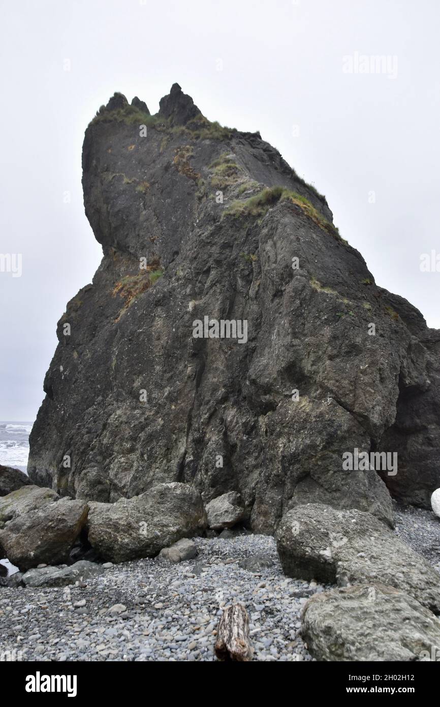 The coastal rock formations at Ruby Beach on a foggy day in Olympic ...