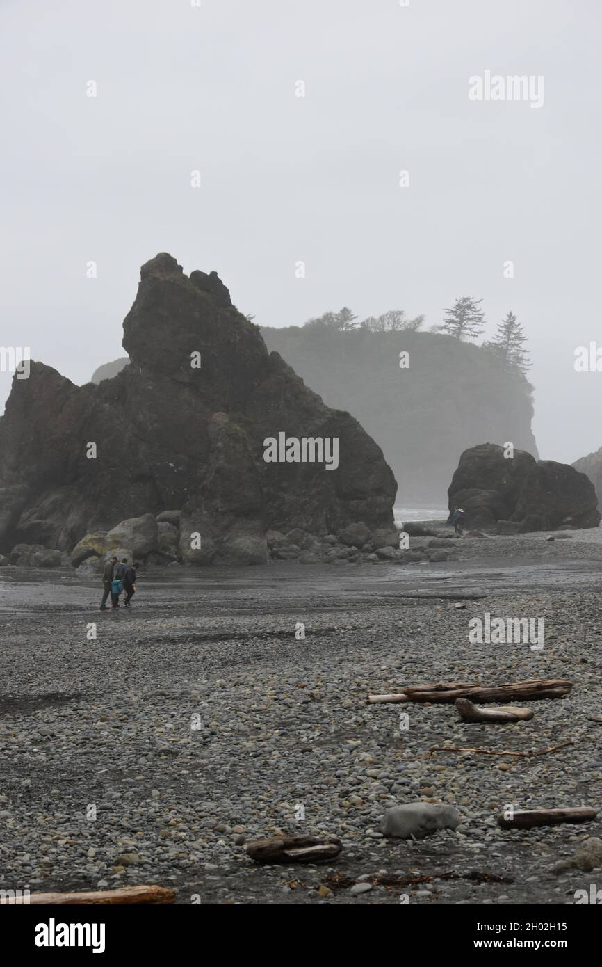 The coastal rock formations at Ruby Beach on a foggy day in Olympic ...