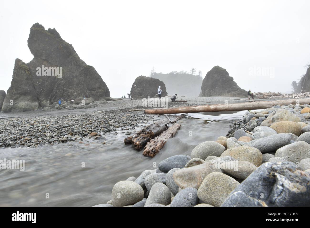 The coastal rock formations at Ruby Beach on a foggy day in Olympic ...