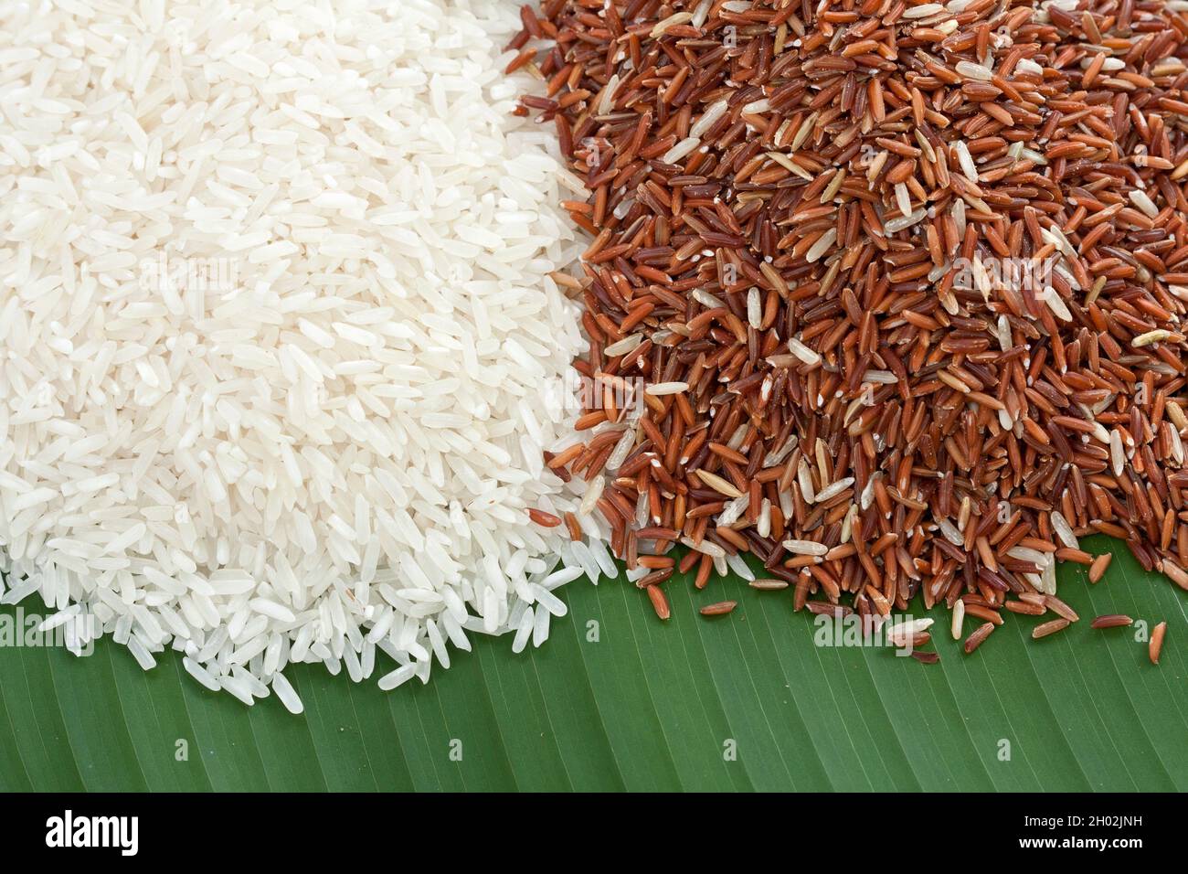 Red rice grain hi-res stock photography and images - Alamy