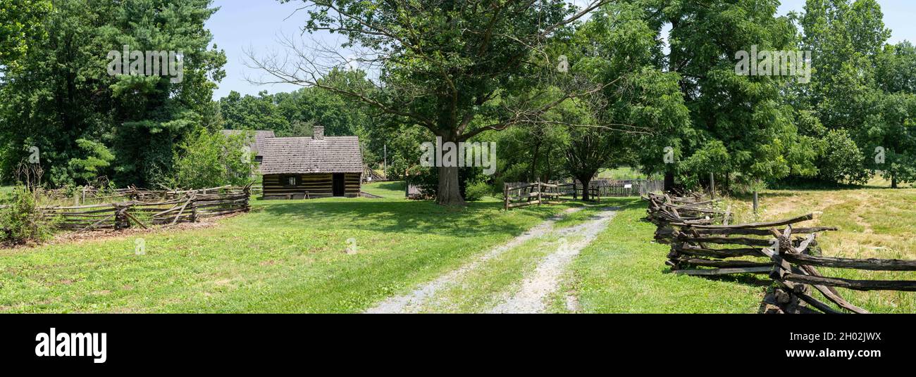 An old log cabin and a split rail fence under the spreading oak tree ...