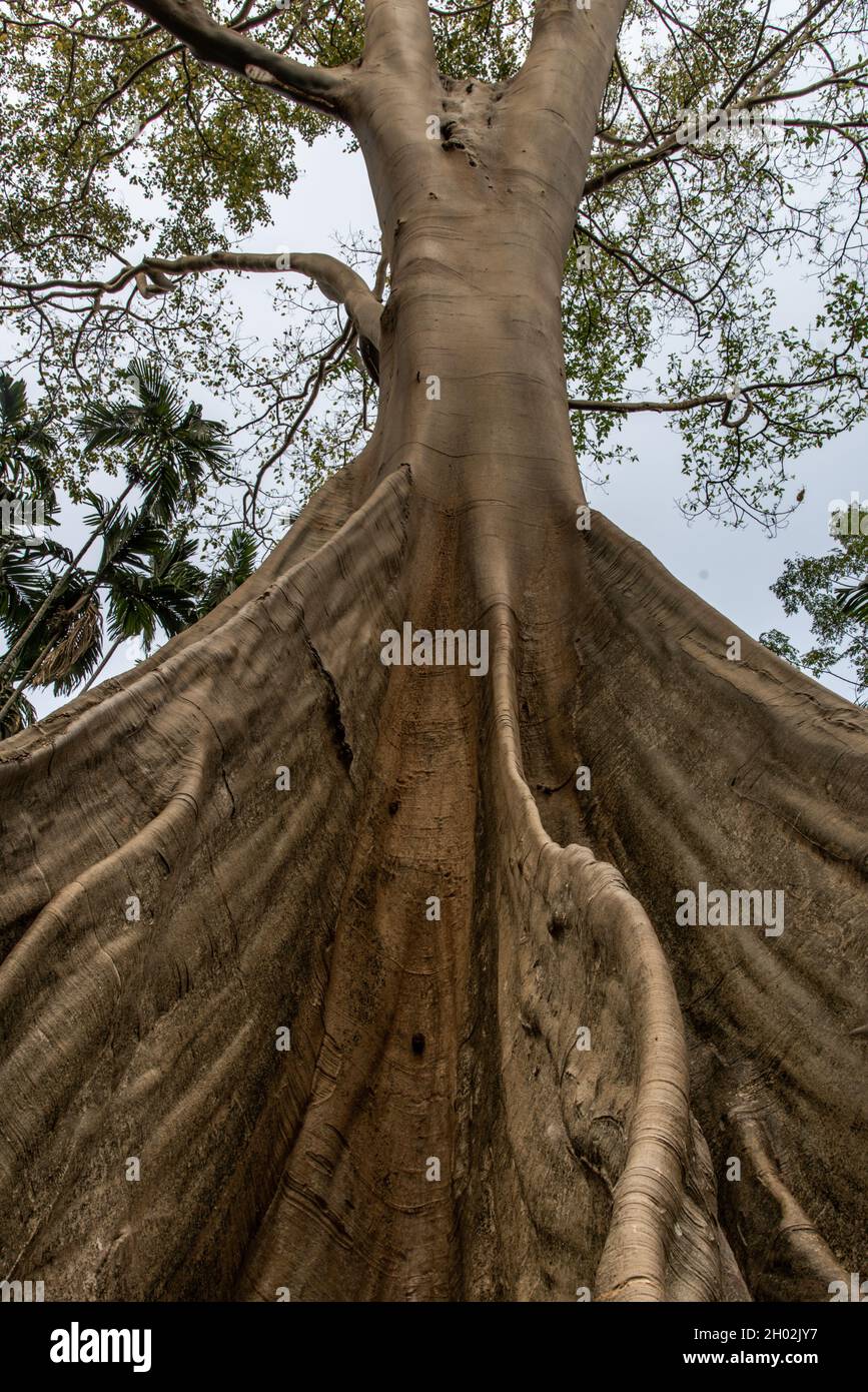 Ban sanam hi-res stock photography and images - Alamy