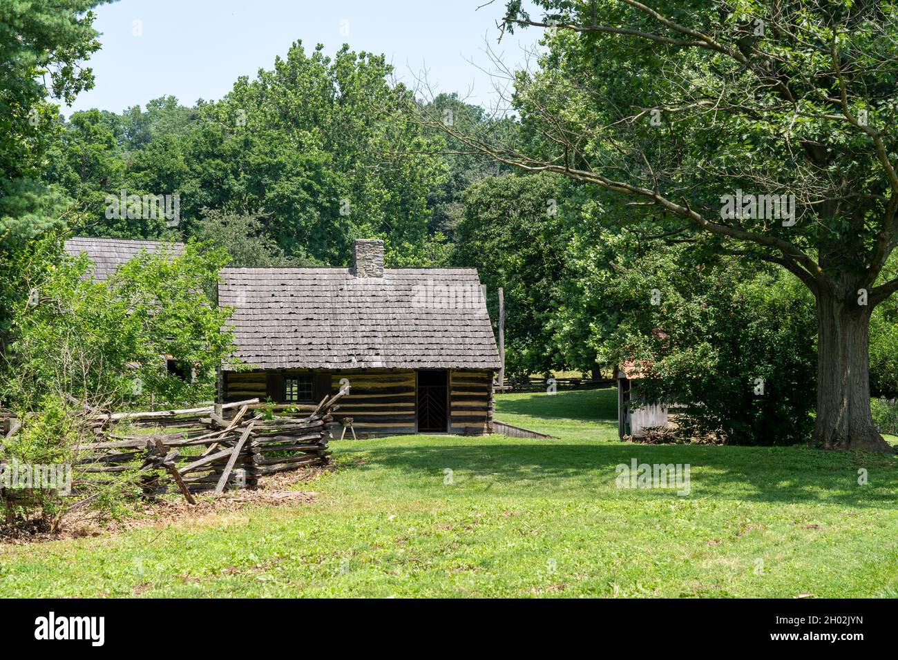 An old log cabin and a split rail fence under the spreading oak tree ...