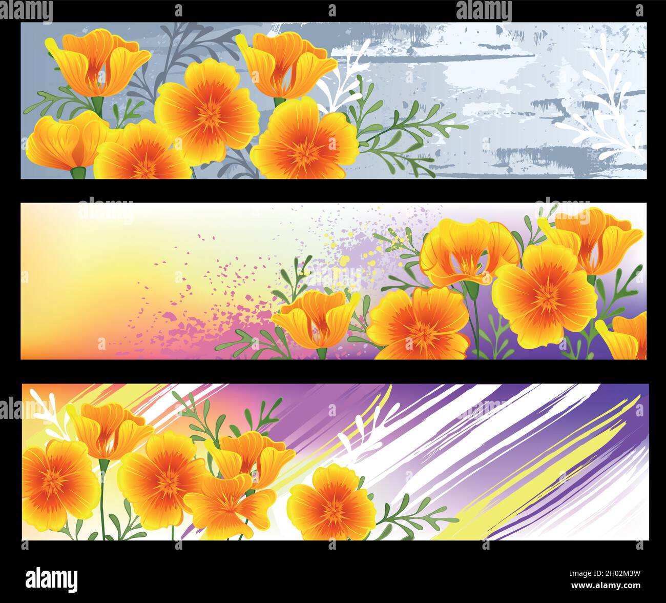 Profile header collection with vibrant, orange, blooming, California ...