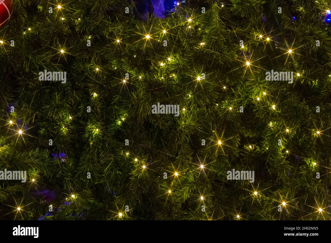 The lights on the Christmas tree decoration background Stock Photo - Alamy
