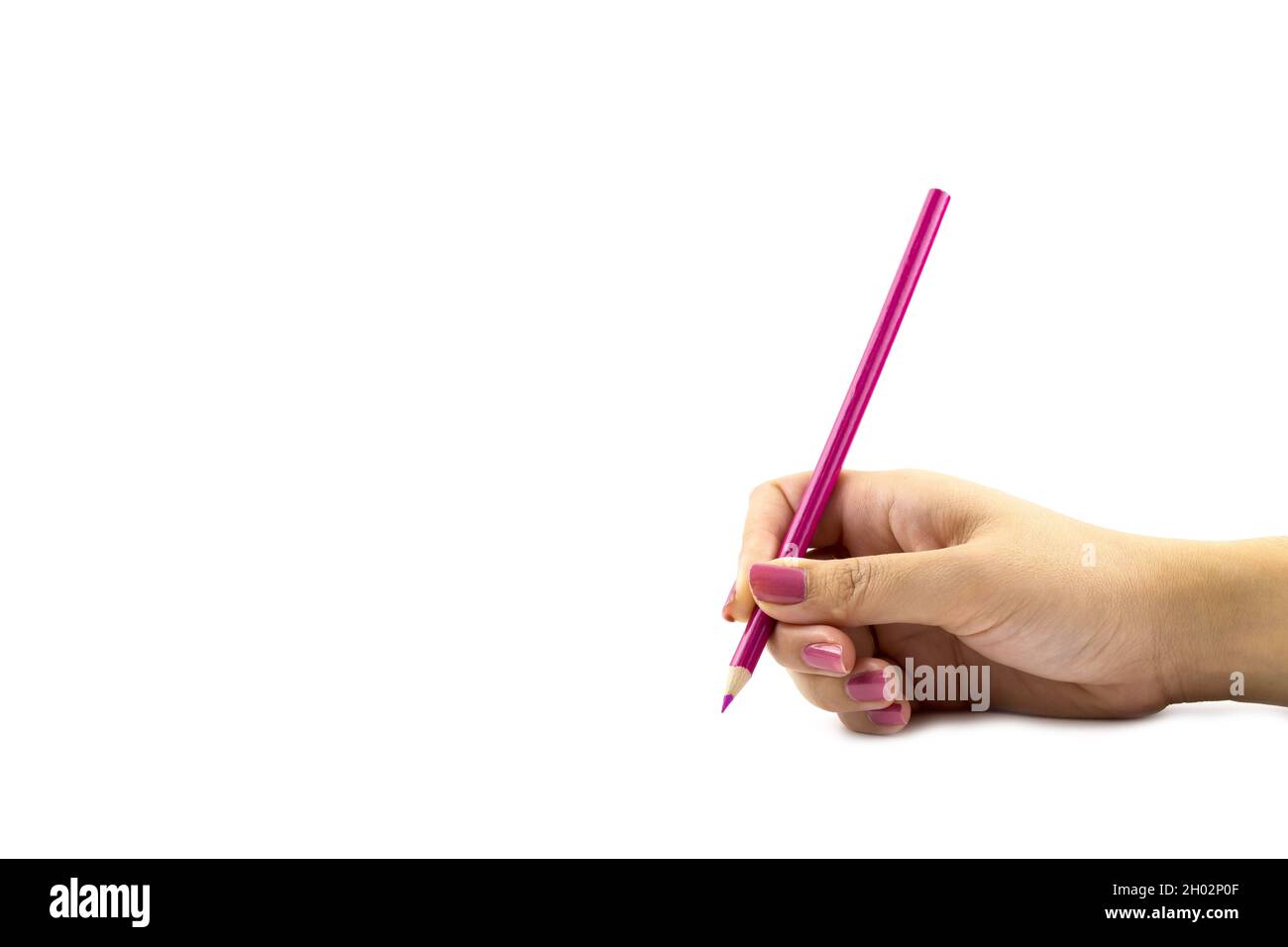 Female hand holdding pink color pencils isolated on white background ...