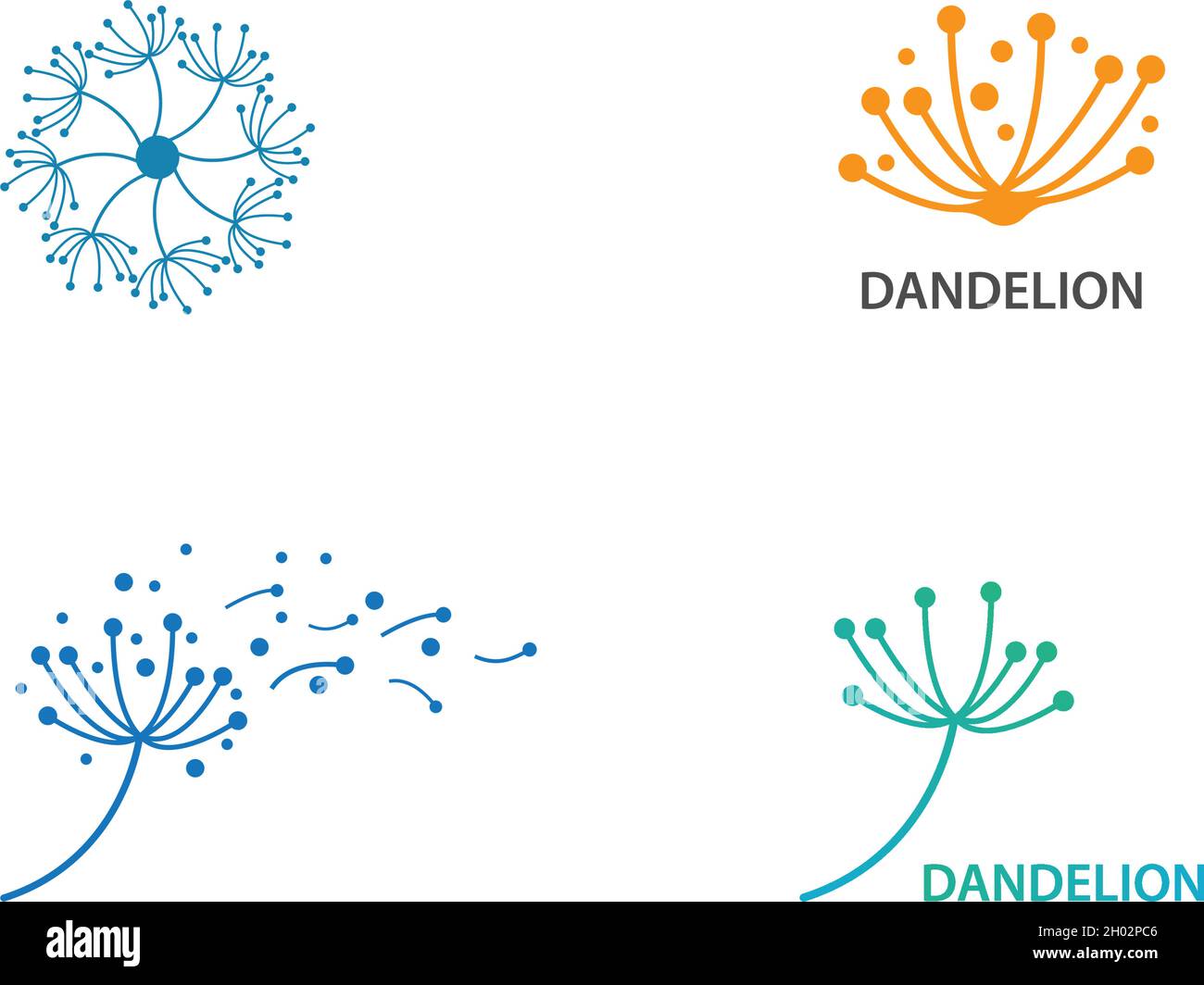 Dandelion flower logo vector template Stock Vector Image & Art - Alamy