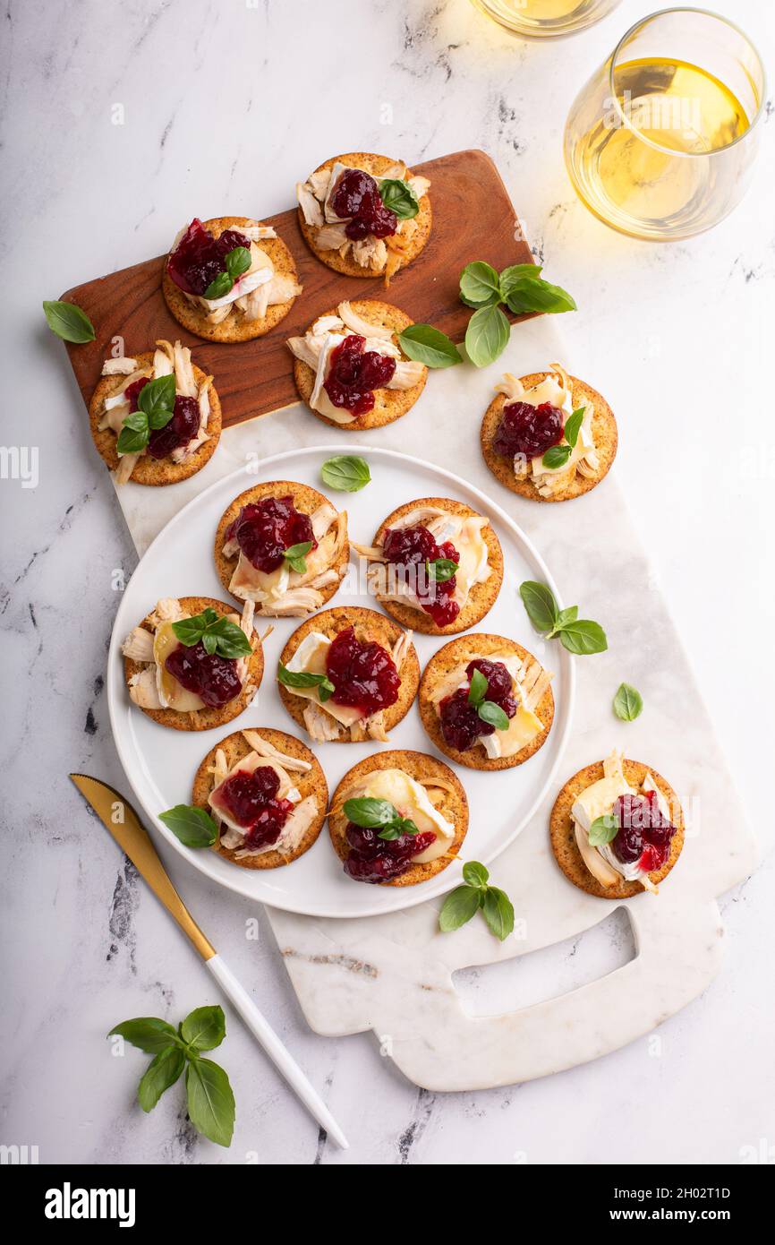 Party appetizers with roasted turkey, brie and cranberry sauce on ...