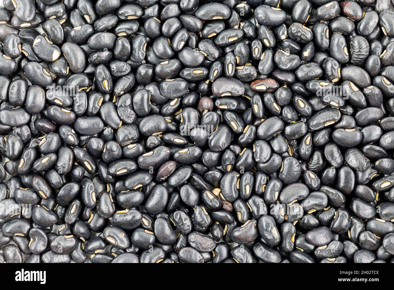 Row of black beans use for background Stock Photo - Alamy