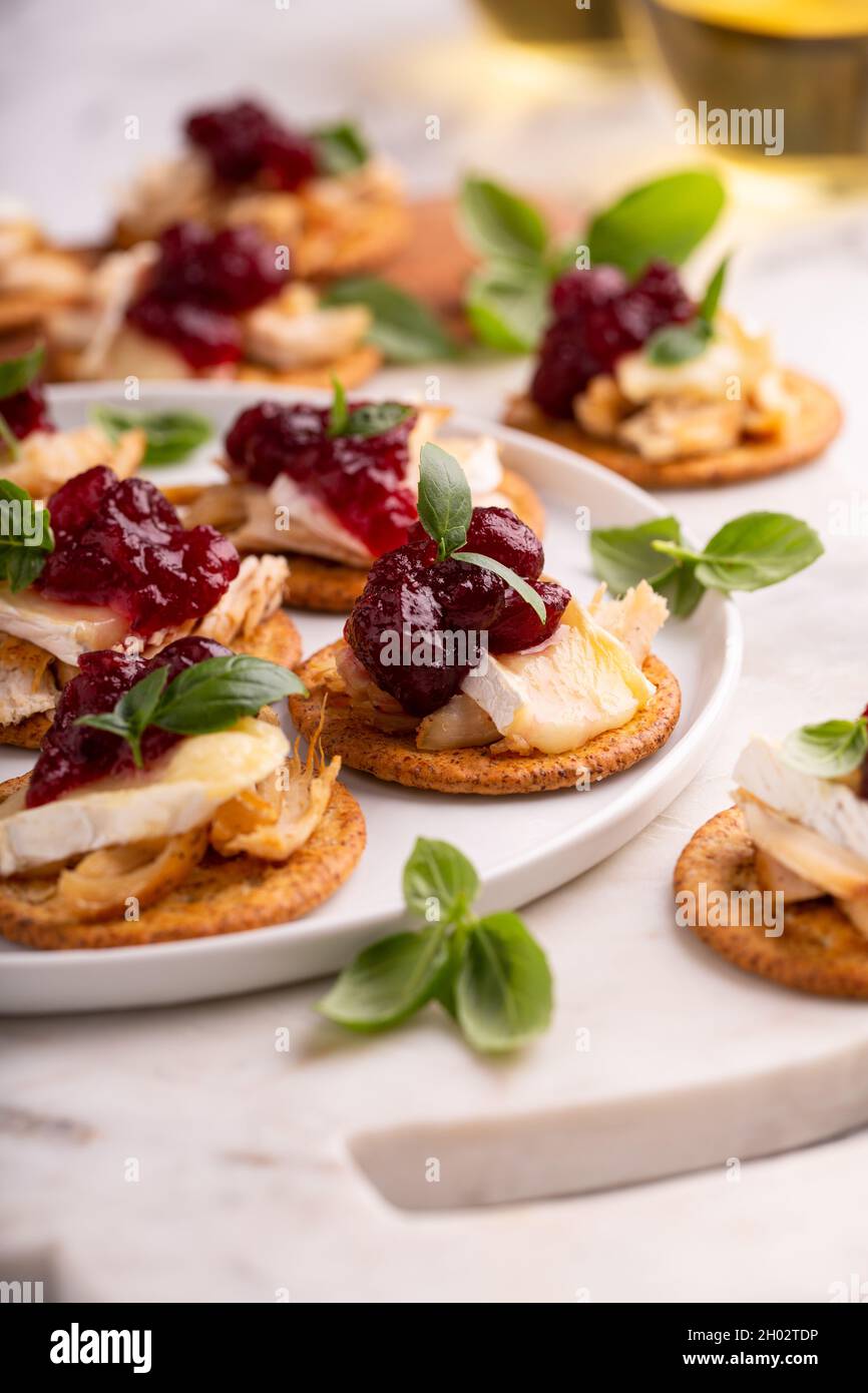 Party appetizers with roasted turkey, brie and cranberry sauce on ...