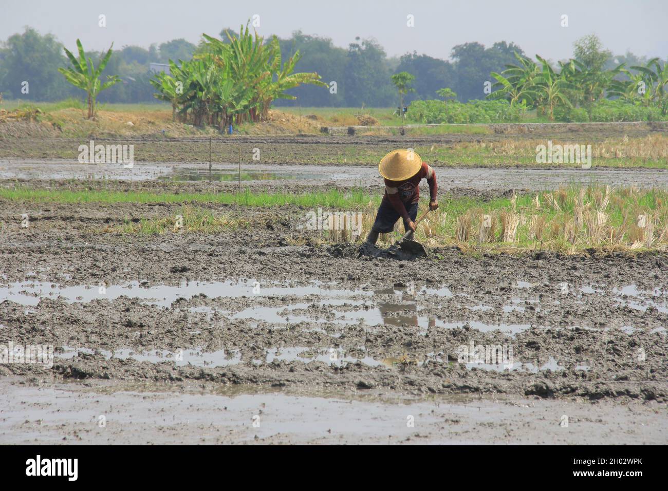 Farmers working the land hi-res stock photography and images - Alamy