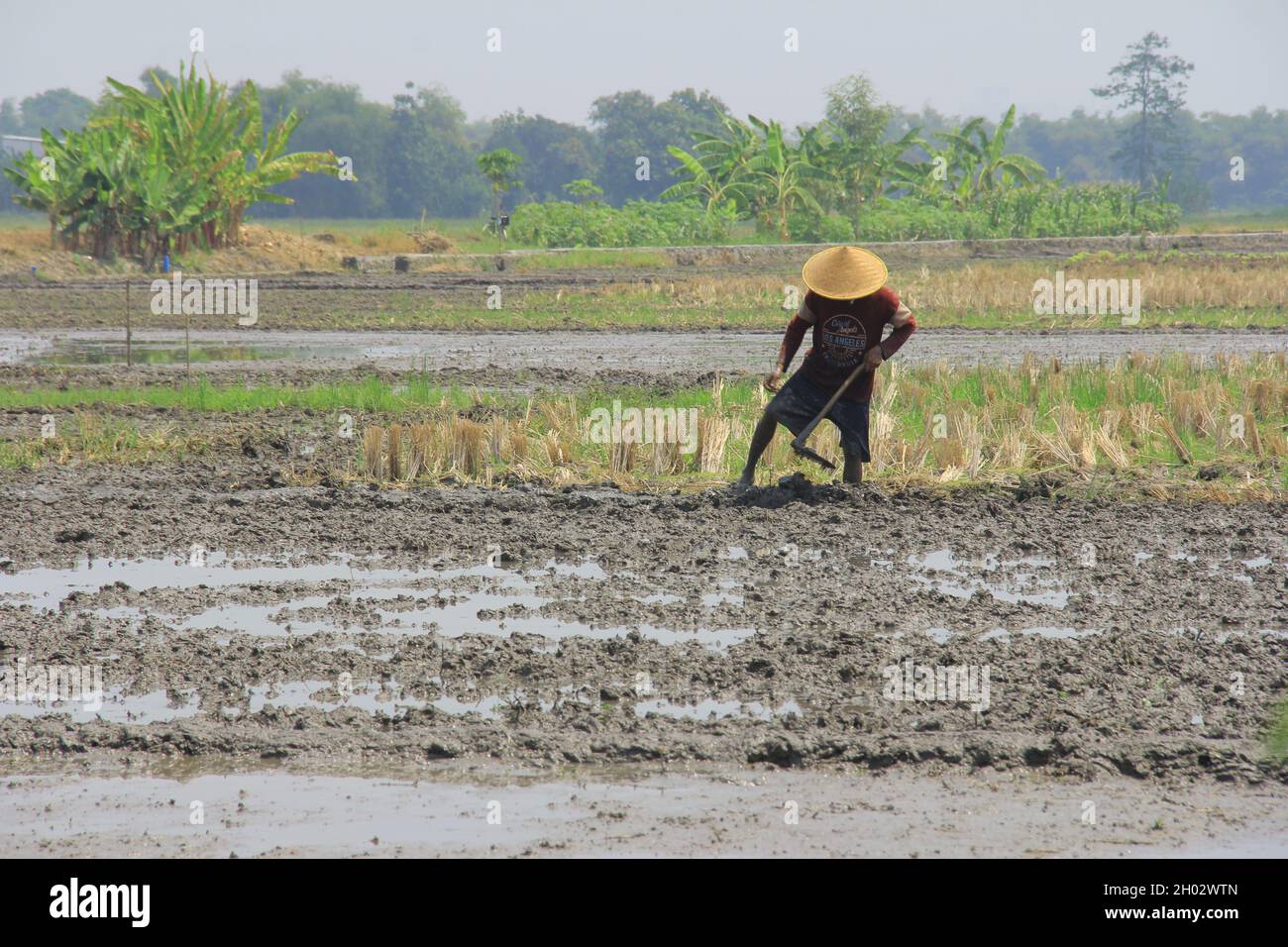 Farmers working the land hi-res stock photography and images - Alamy