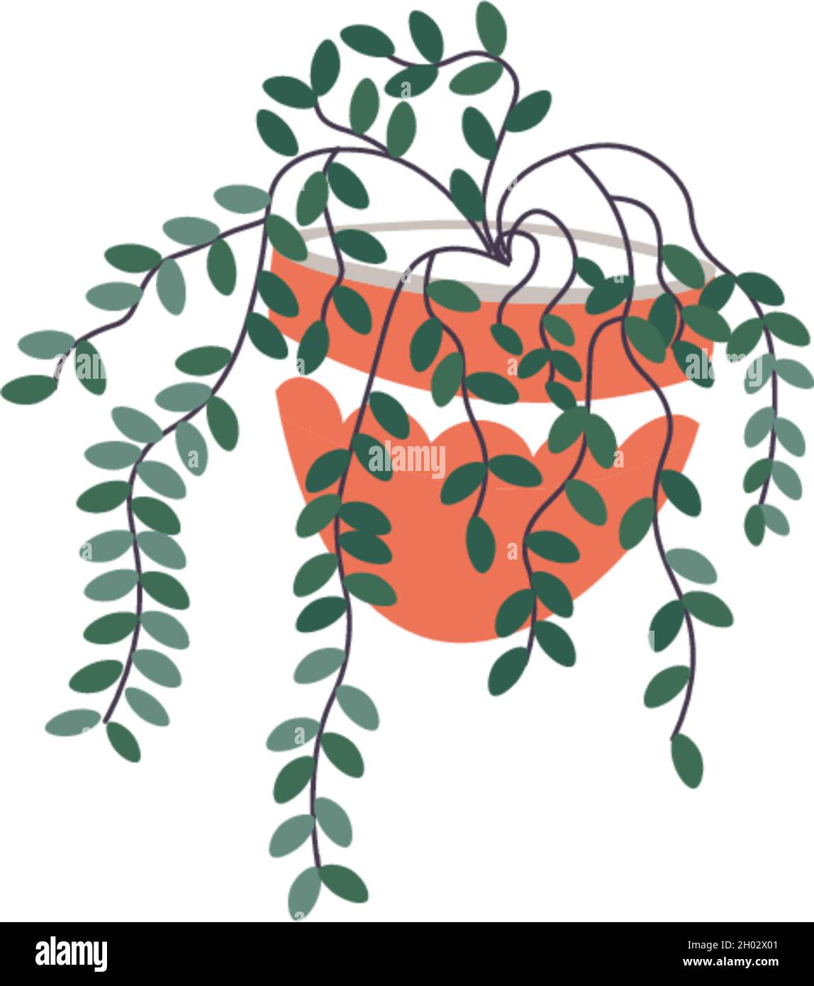 Plant with hanging leaves, foliage decoration Stock Vector Image & Art ...