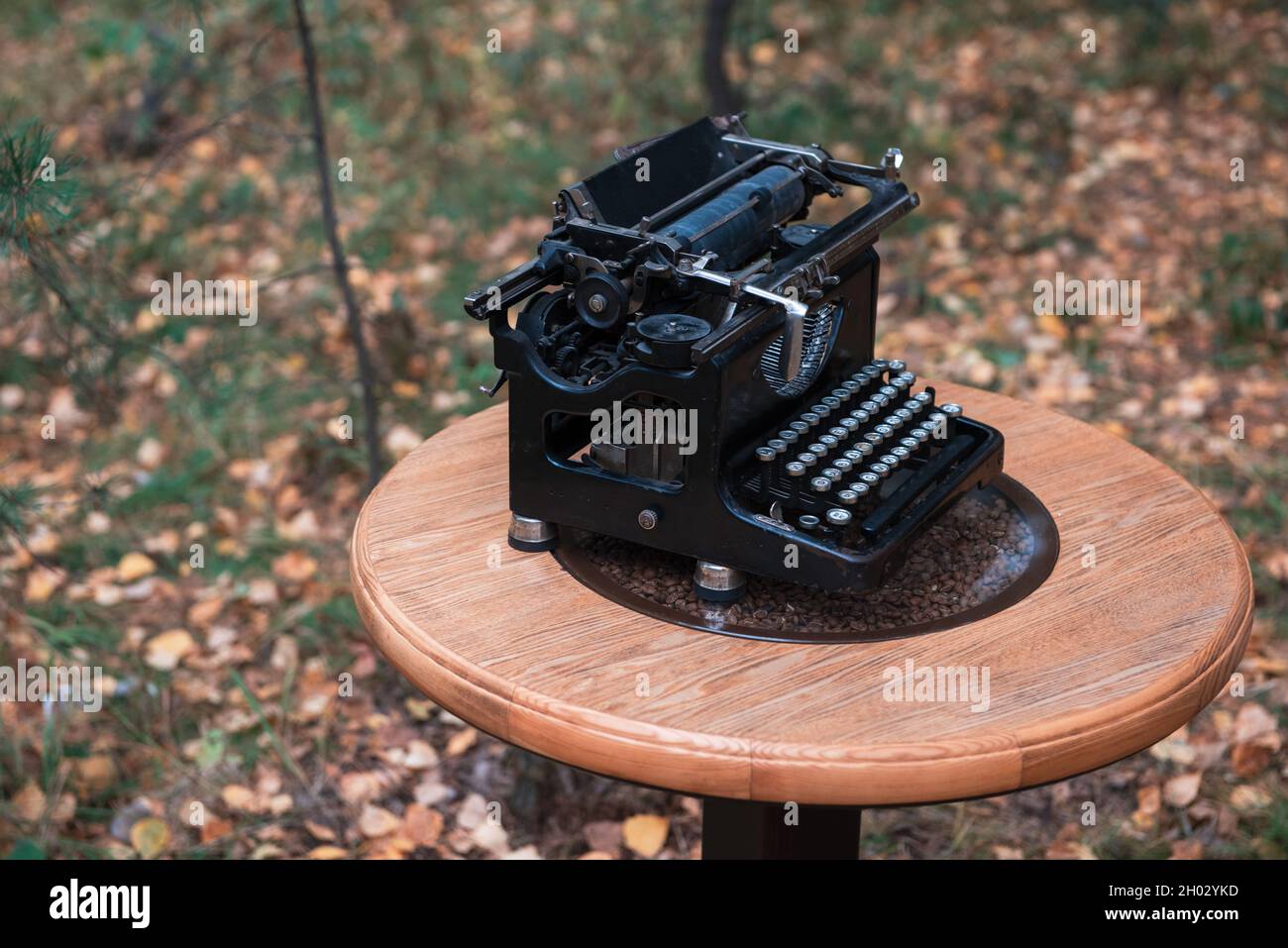Vintage retro typewriters on the wooden table in the autumn forest ...