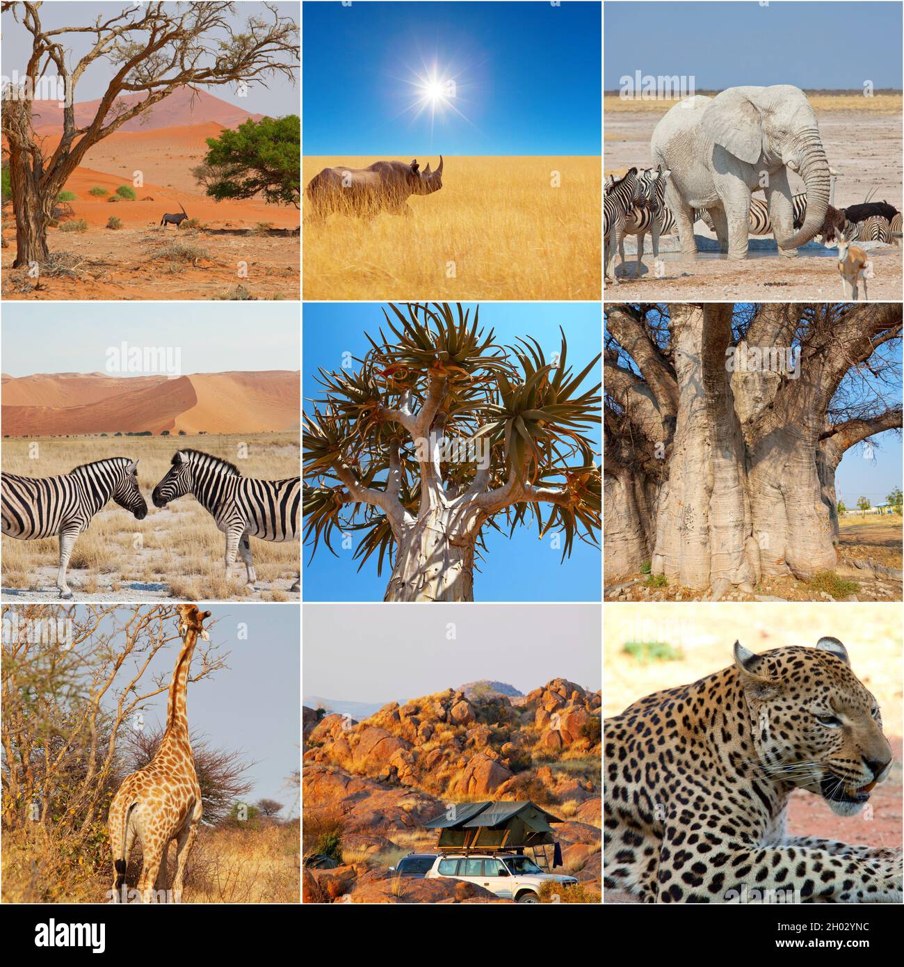 Tourist attraction on african safari in Namibia Stock Photo - Alamy