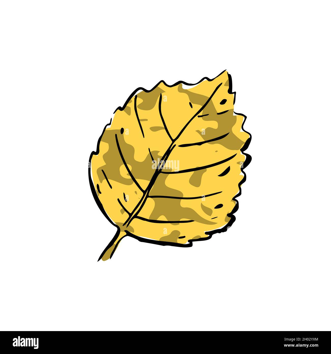 Yellow Birch Leaf Drawing