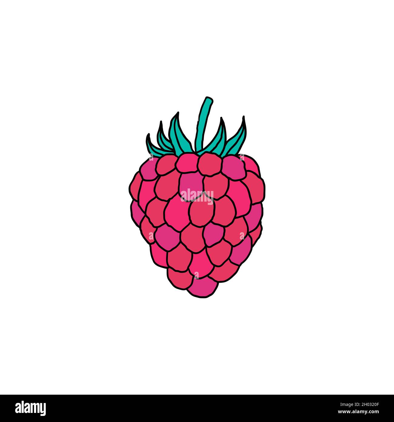 Raspberry in doodle style Stock Vector Image & Art - Alamy