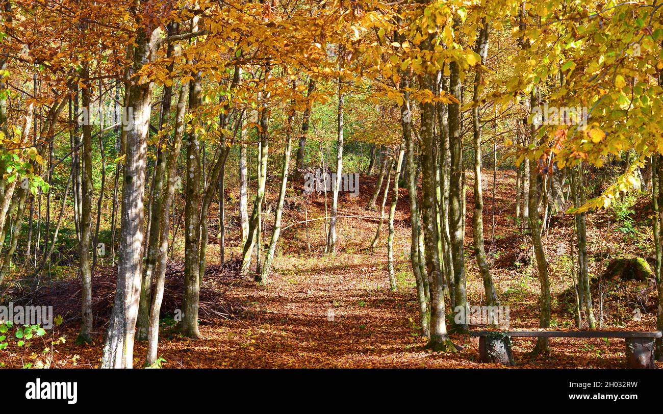 Montreal lake saskatchewan hi-res stock photography and images - Alamy
