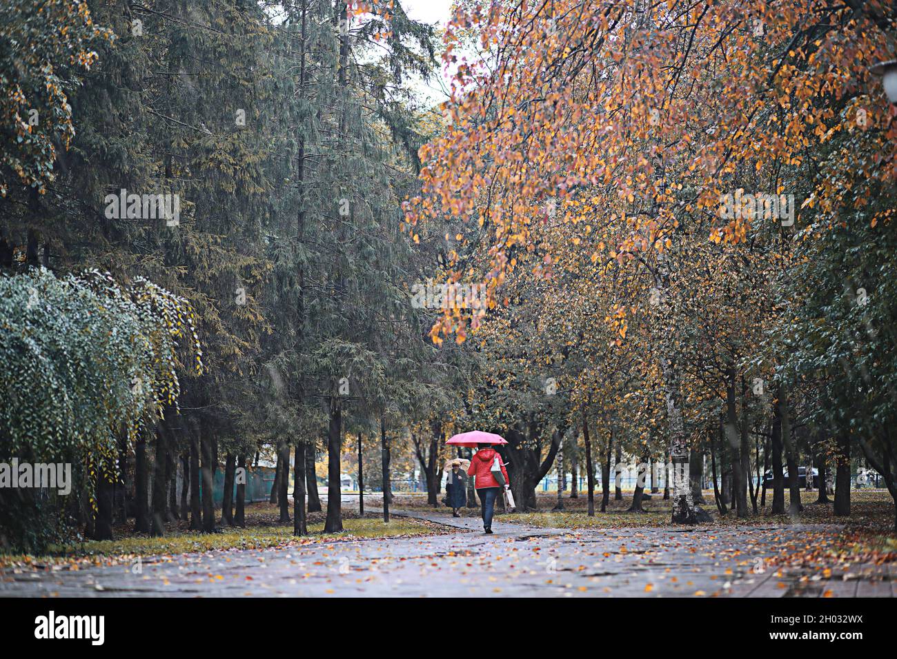Autumn rain in the park during the day Stock Photo - Alamy