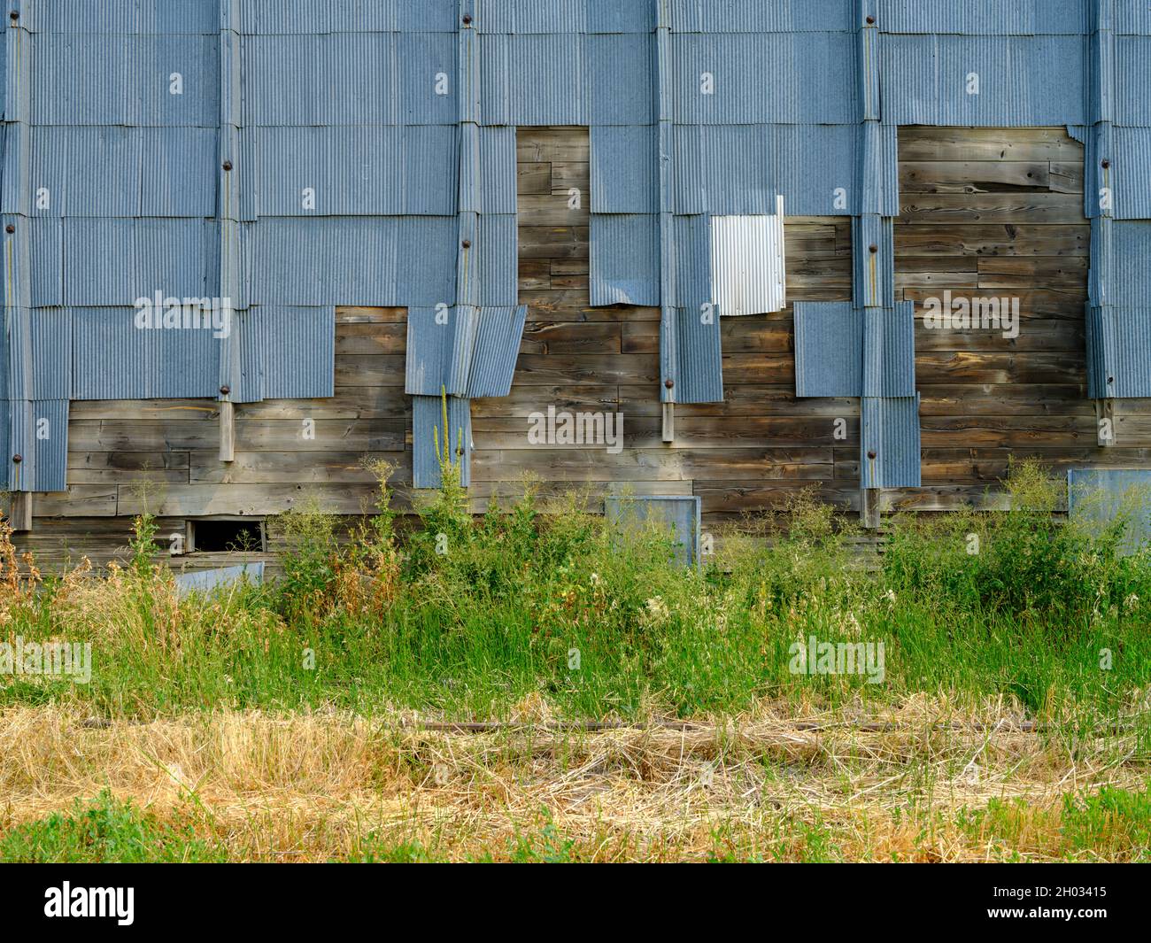 Corrugated metal siding is falling away from an abandoned grain ...