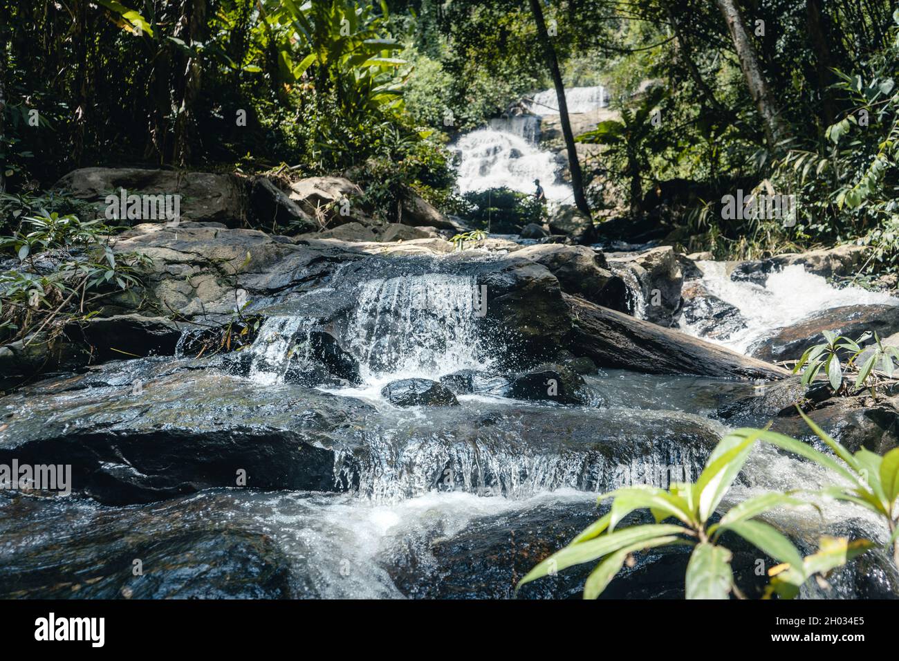 Travel Waterfall in a tropical forest in the daytime Stock Photo - Alamy