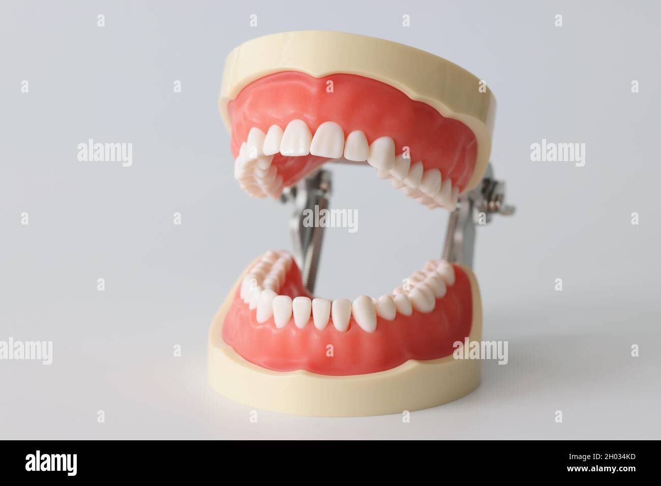 Perfect Bite Teeth Alignment