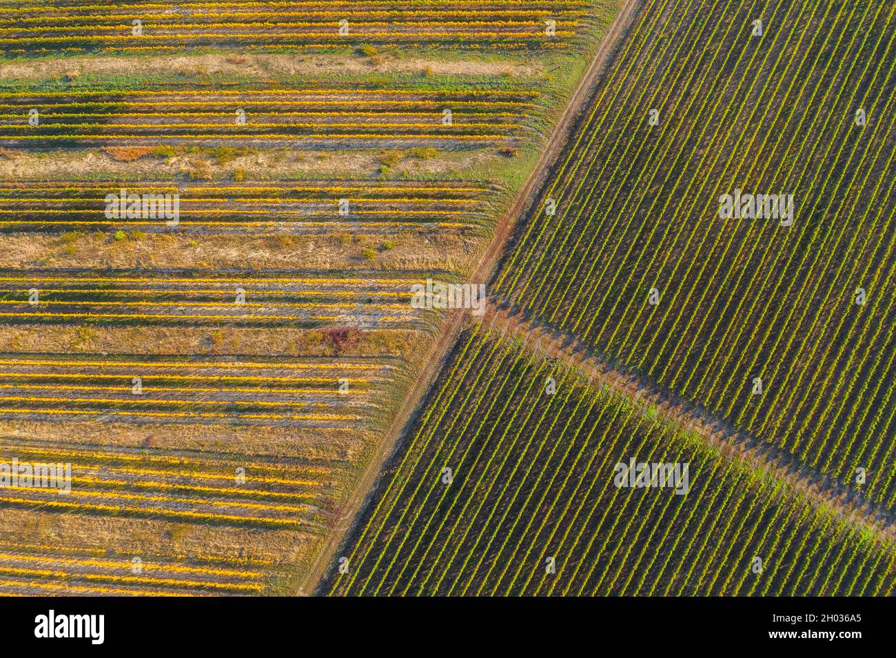 Vineyard land field top hi-res stock photography and images - Alamy
