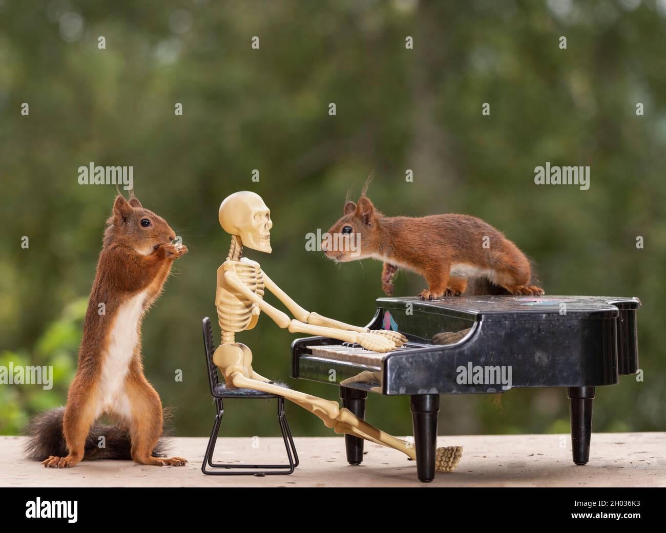 Skeleton piano hi-res stock photography and images - Alamy