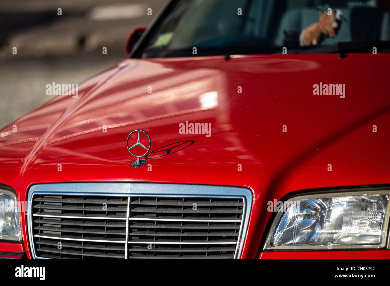 Mercedes benz car symbol hood hi-res stock photography and images - Alamy