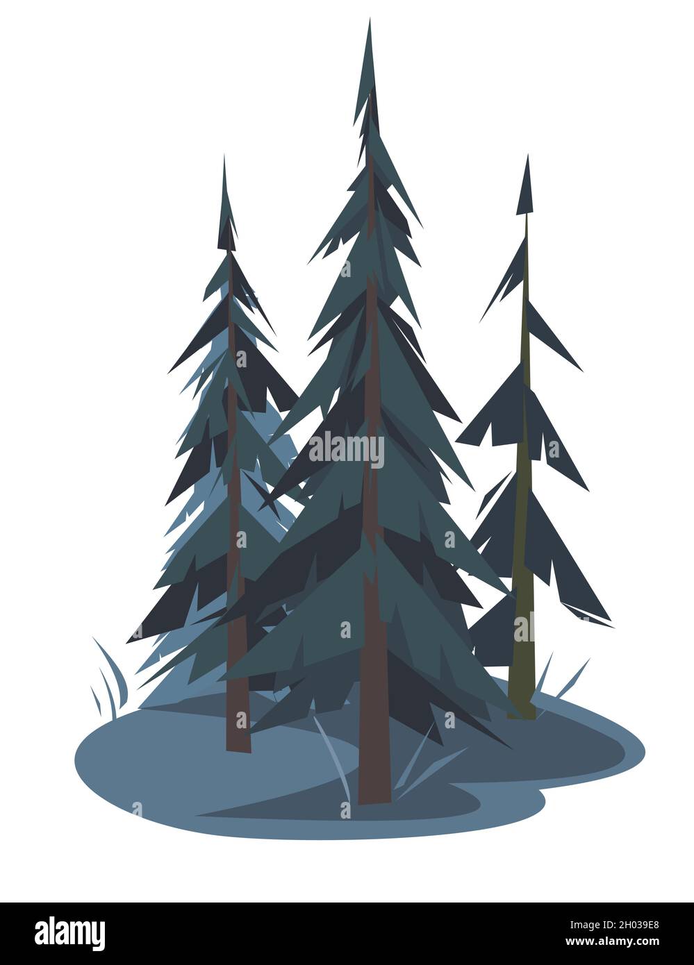 Pine tree forest white mist Cut Out Stock Images & Pictures - Alamy