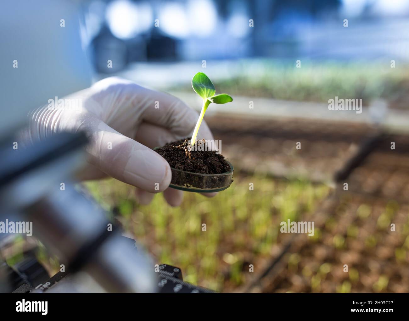 Soil bioengineering hi-res stock photography and images - Alamy