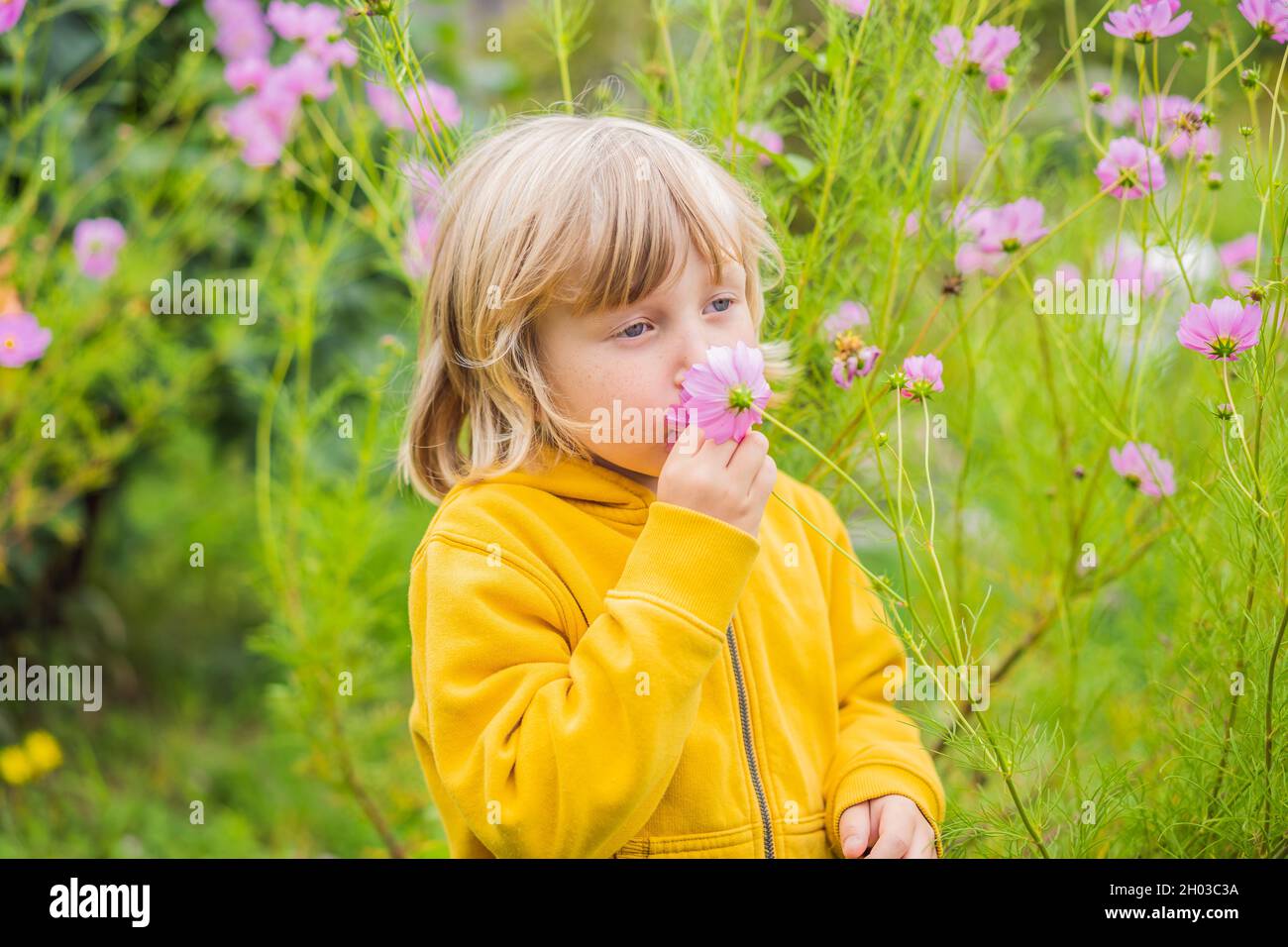 Boy enjoying pink flowers in the garden Stock Photo - Alamy