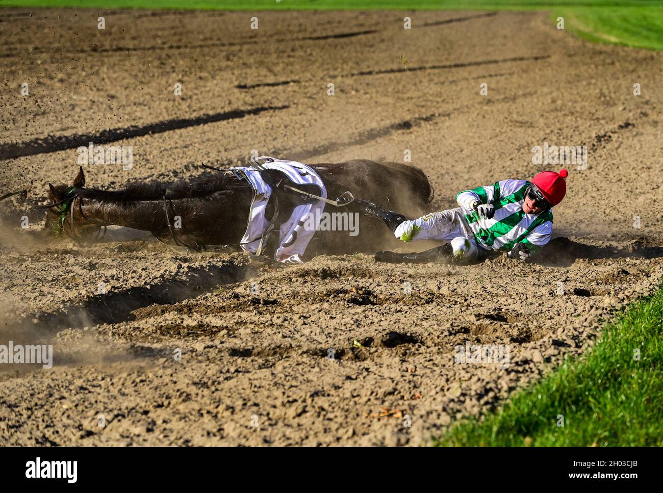 Pardubice horse taxis hi-res stock photography and images - Alamy