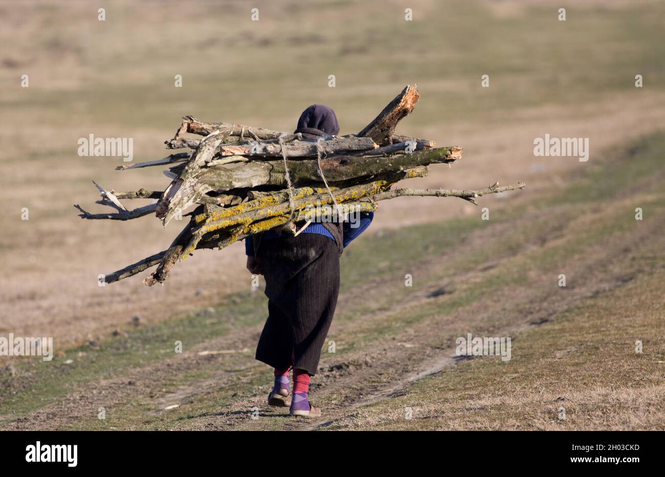 Old woman carrying wood hi-res stock photography and images - Alamy