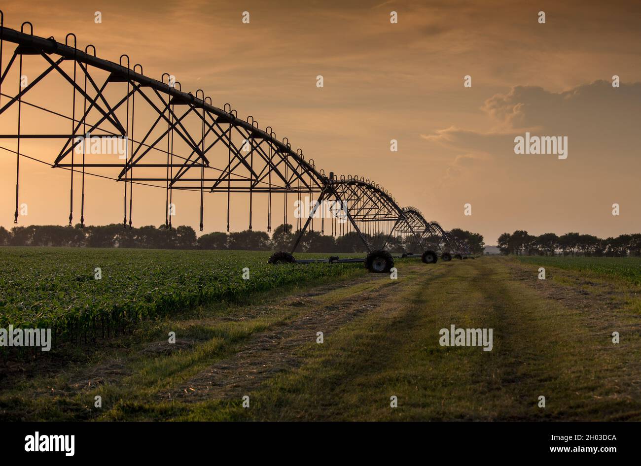 Landscape of central pivot irrigation system in field in summer time at ...