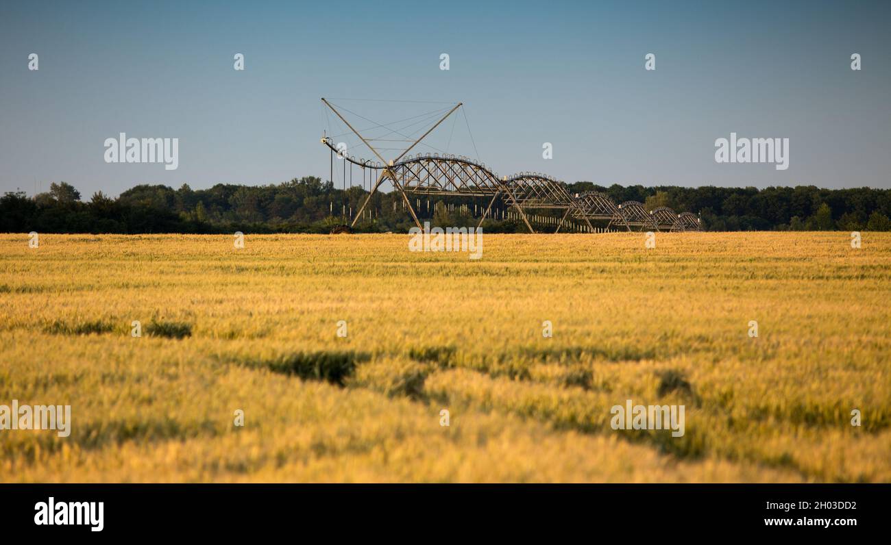 Landscape of central pivot irrigation system in field in summer time at ...