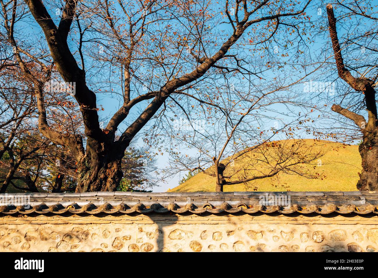 Daereungwon tombs stonewall walkway at autumn in Gyeongju, Korea Stock ...