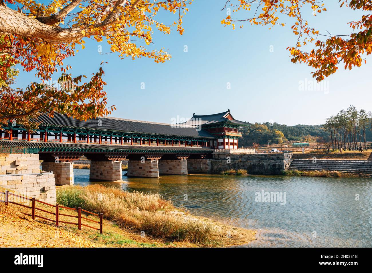 Woljeonggyo Korean traditional bridge at autumn in Gyeongju, Korea ...