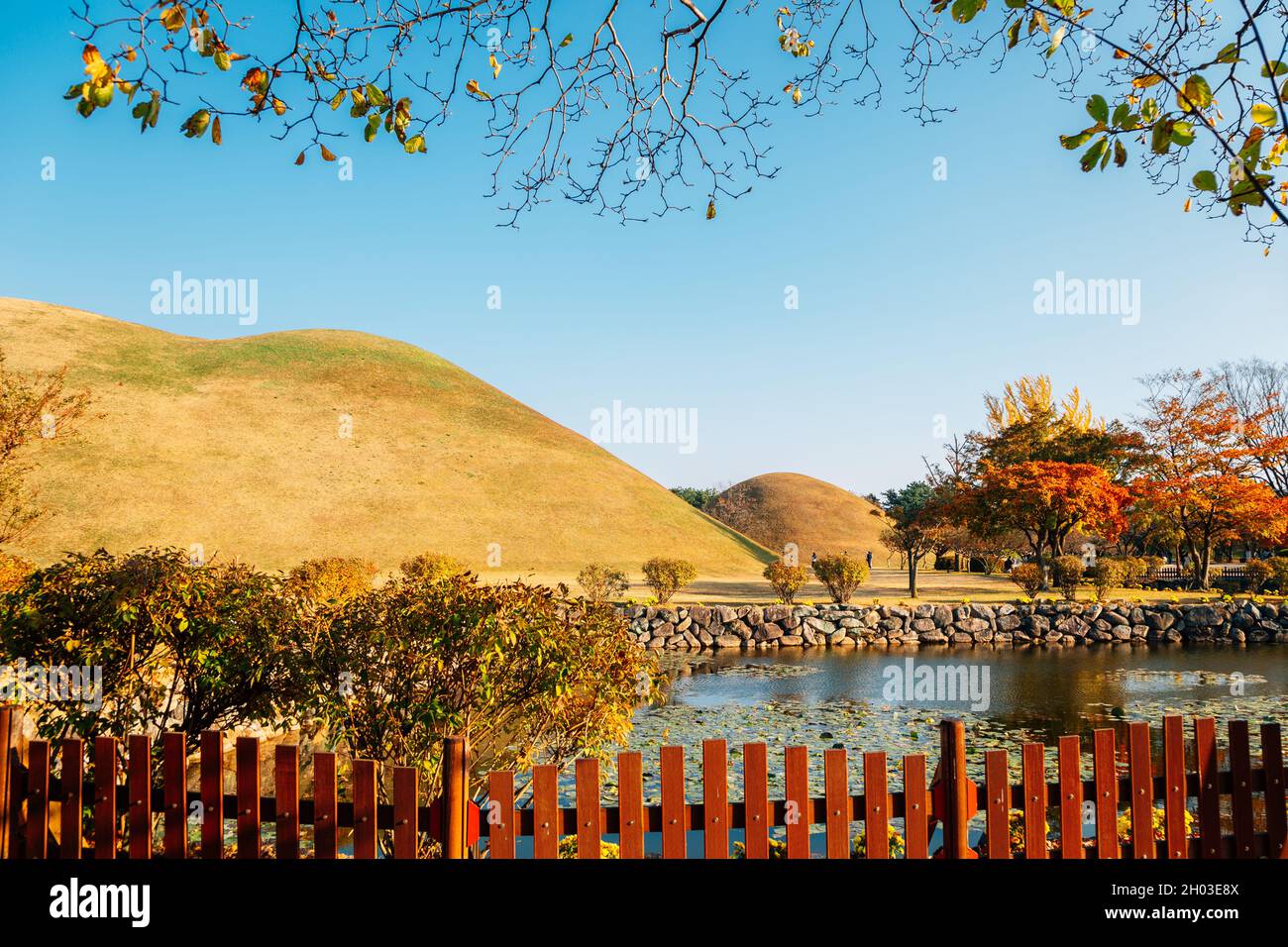 Daereungwon tomb complex in gyeongju hi-res stock photography and ...
