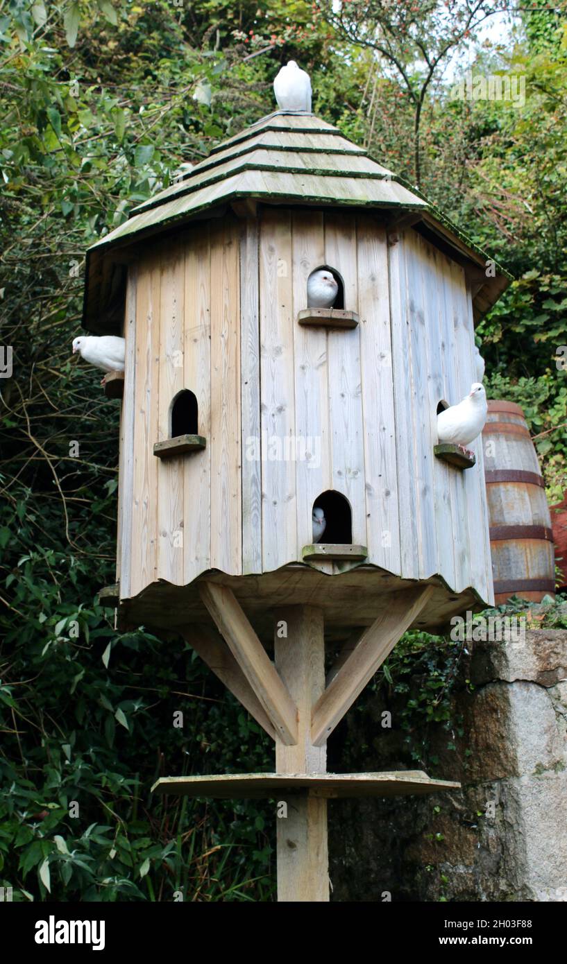 Doves at dovecote hi-res stock photography and images - Alamy