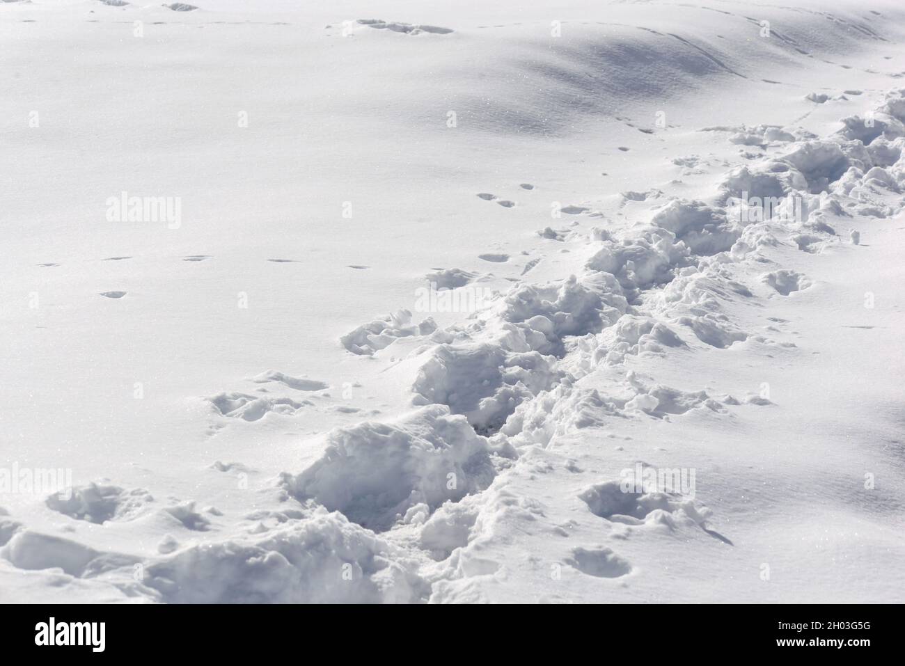 Hiker tracks hi-res stock photography and images - Alamy
