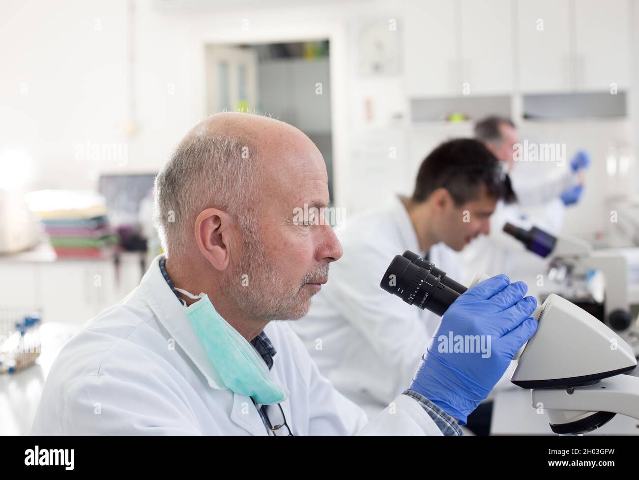 Team of experienced biologists working on microscopes in laboratory ...