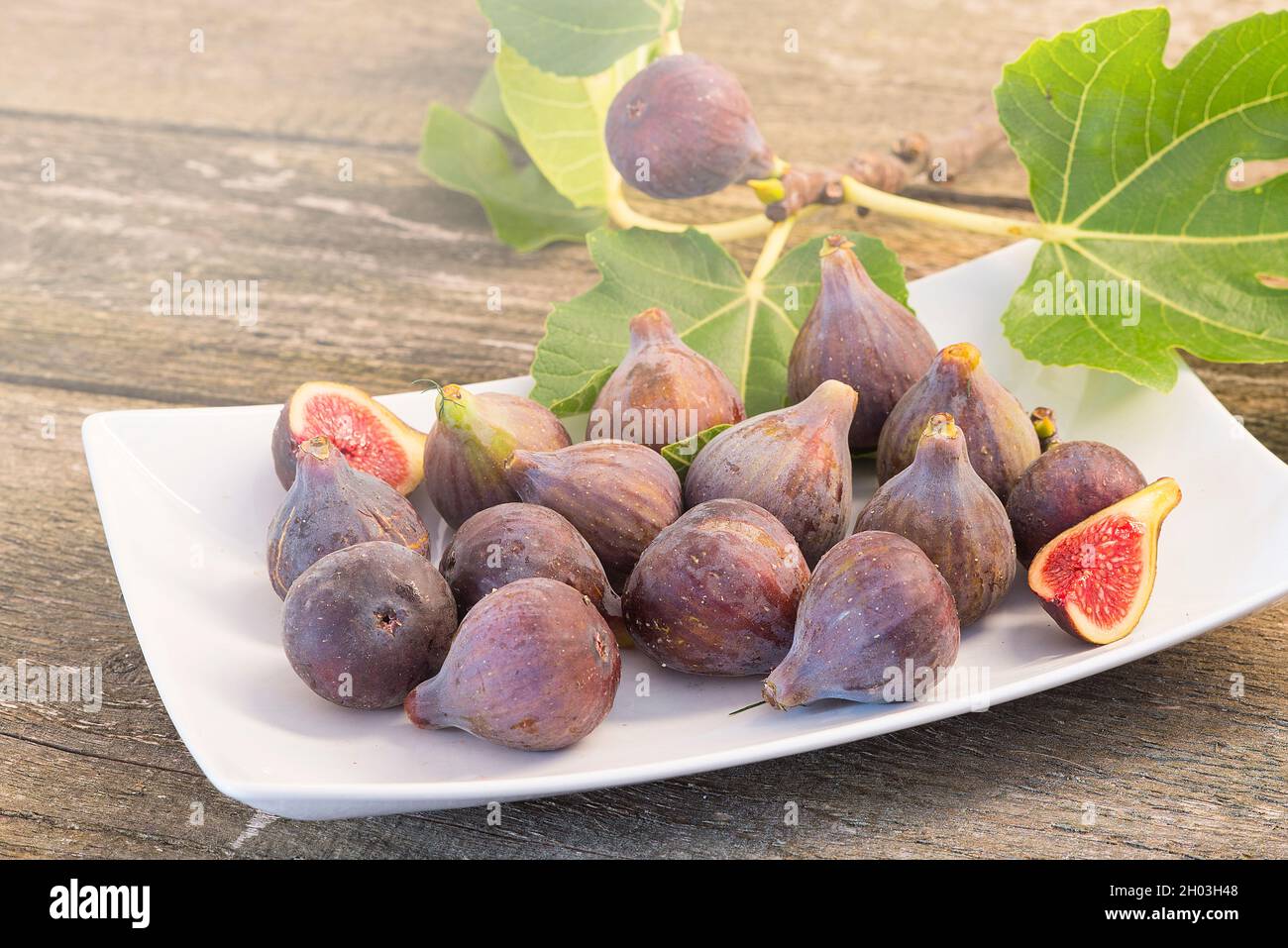 Bio big Figs tree in white background Stock Photo - Alamy
