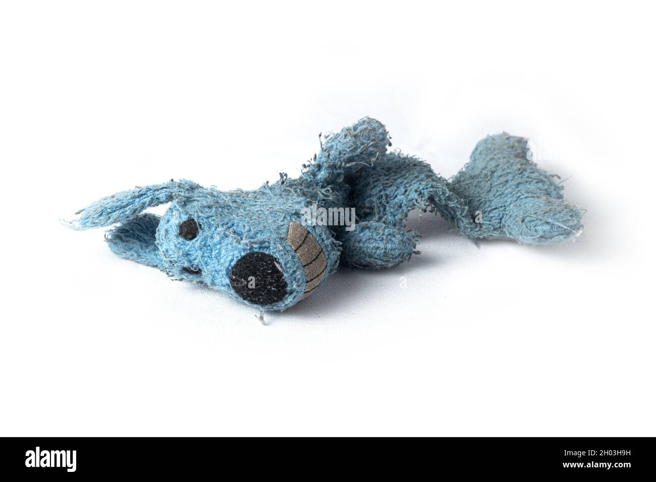 Old plush puppy toy on the white background Stock Photo - Alamy