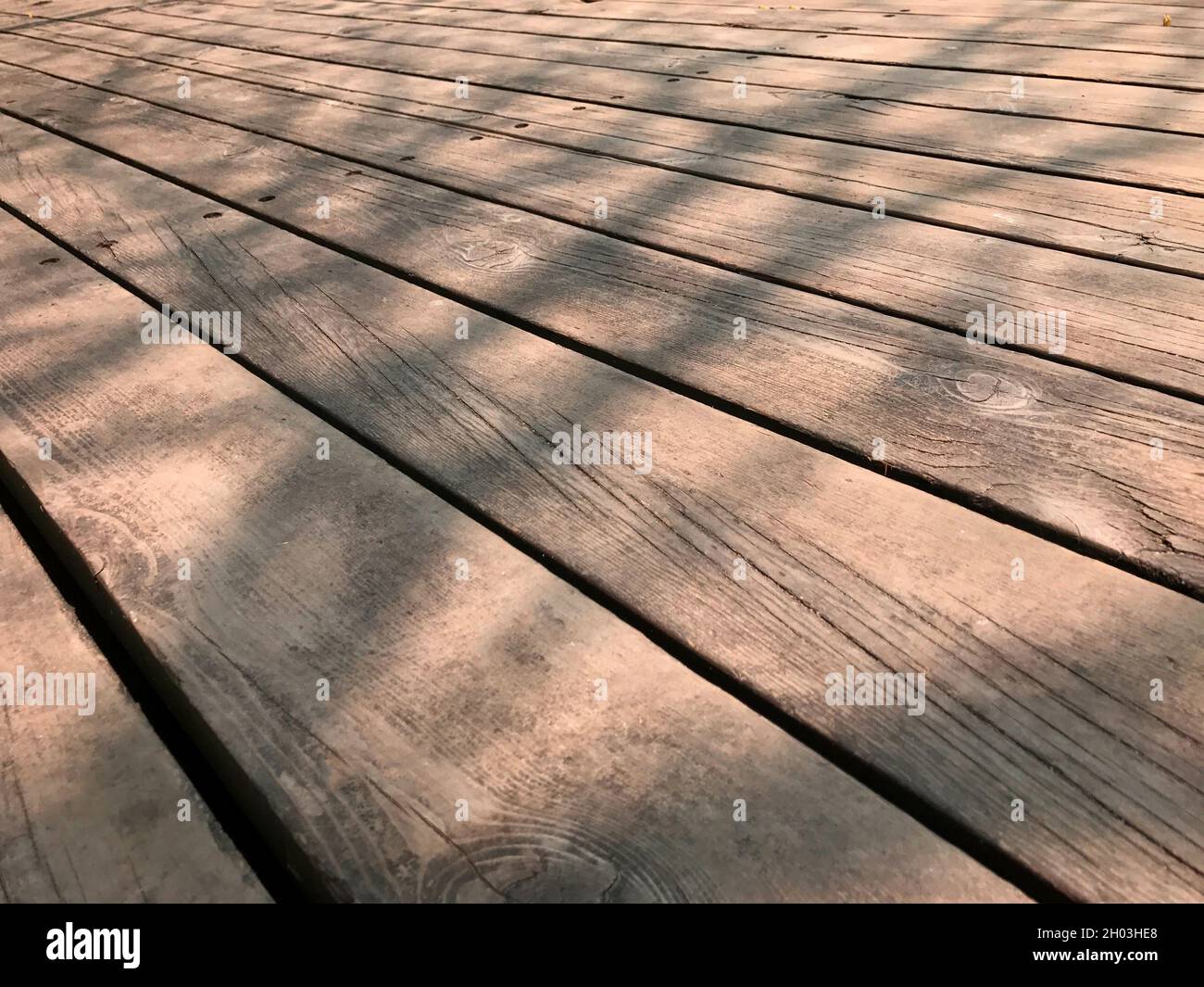 Shot of a brown wooden stage floor with woodgrain details under a tree ...