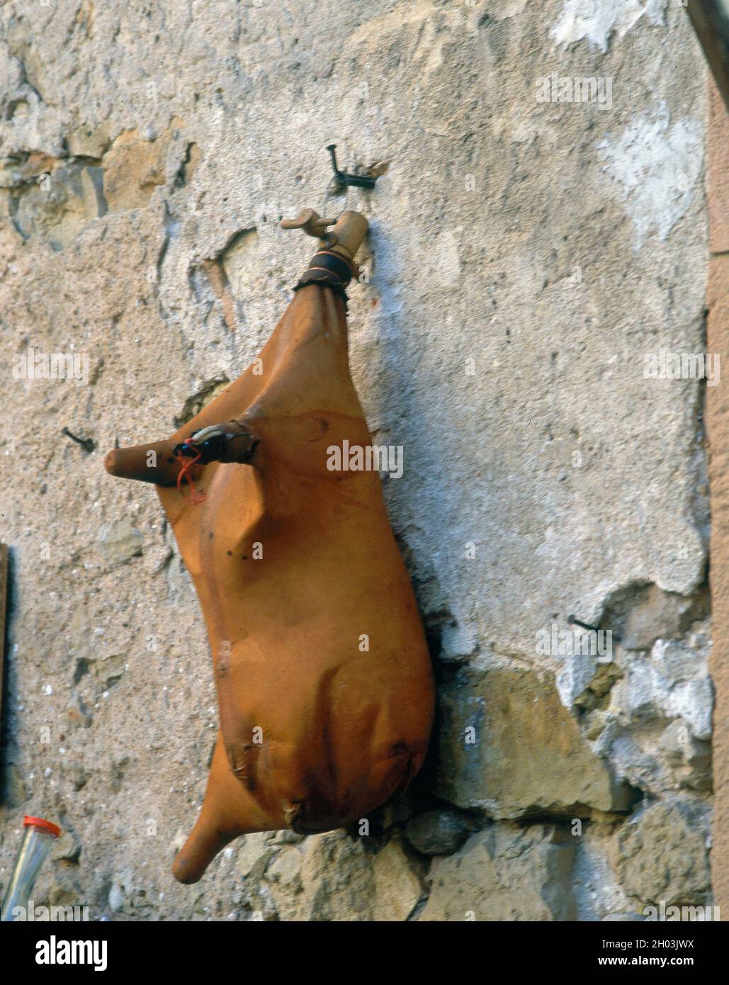 Animal en la pared hi-res stock photography and images - Alamy
