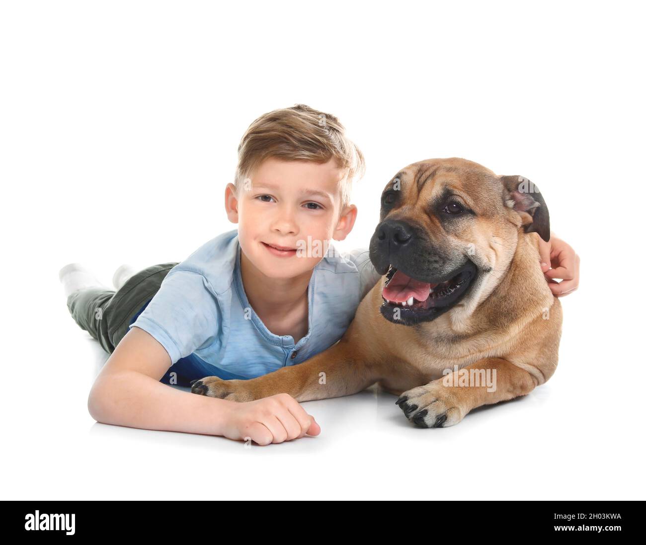 Cute little child with his dog on white background Stock Photo - Alamy
