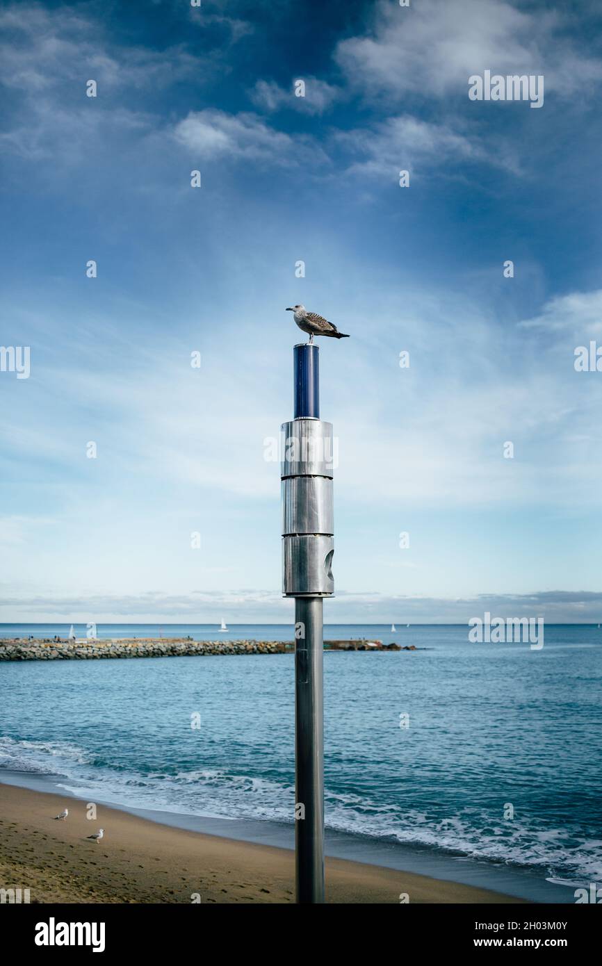 A seagull on a lamp post enjoying the view over the beach Stock Photo ...